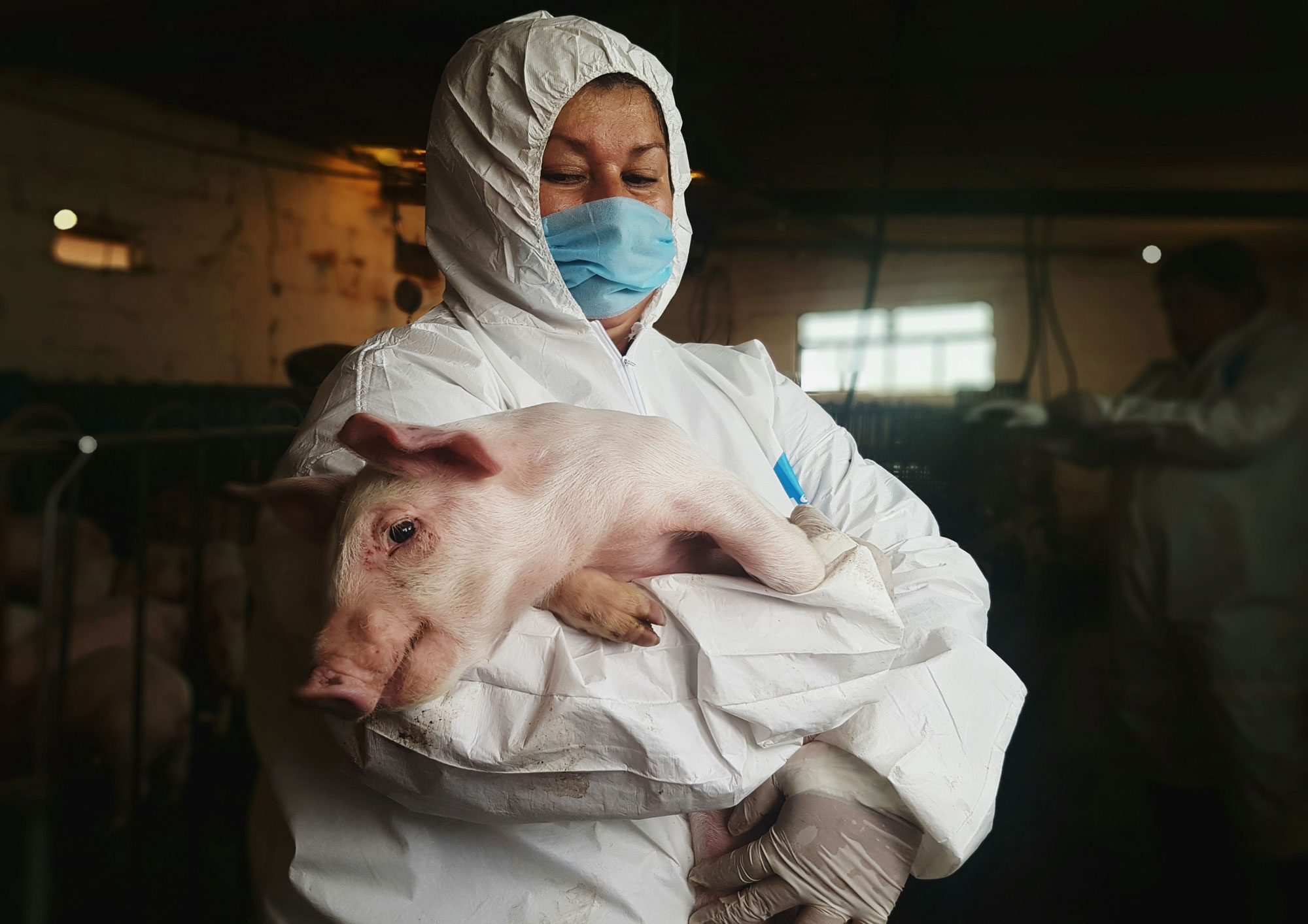 Giving animal health a voice